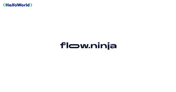 Flow Ninja - Iskustva o radu i sa intervjua | HelloWorld.rs
